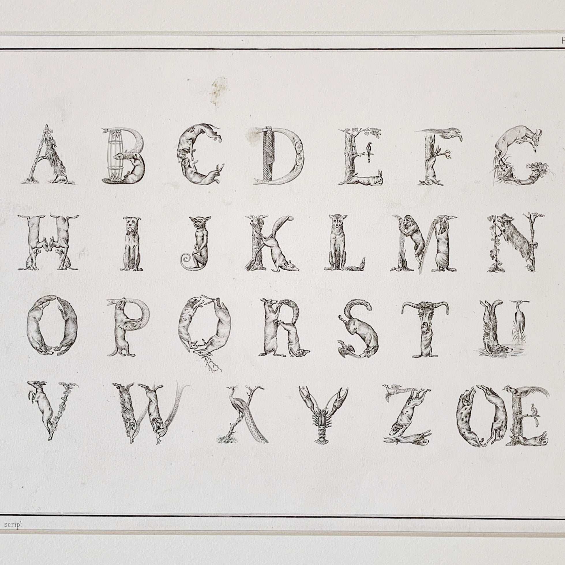 19th Century Alphabets Matted 4 – Prints Charming Soho